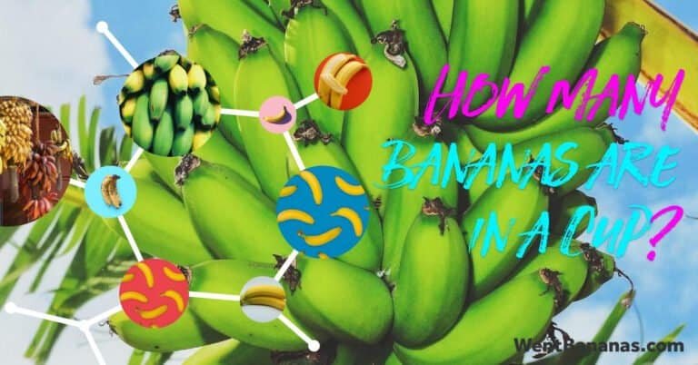 How Many Bananas Are In A Cup?